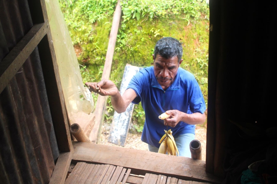 ‘Sau Batar’, a tradição timorense de agradecimento pelas novas ...